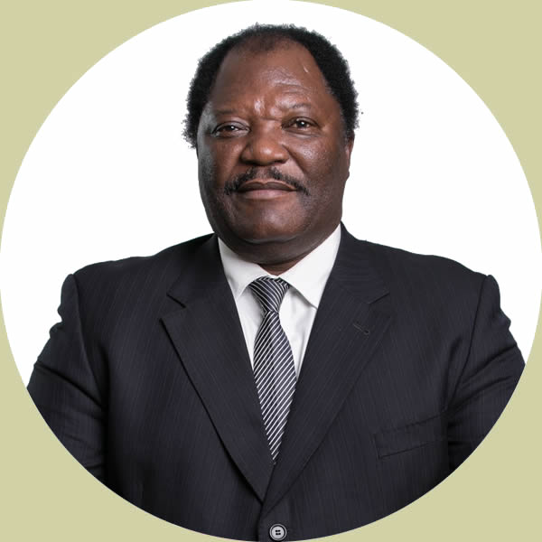 Board of Directors | Eswatini Electricty Company (EEC) — "Energy for ...