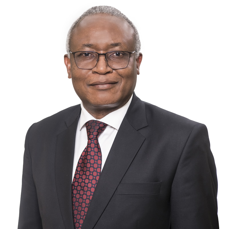 Executive Management | Eswatini Electricty Company (EEC) — "Energy for ...